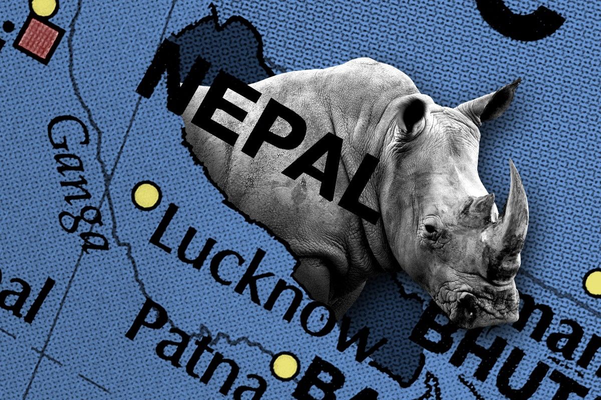 The Arguments Against EVs Are All Bad - Heatmap News