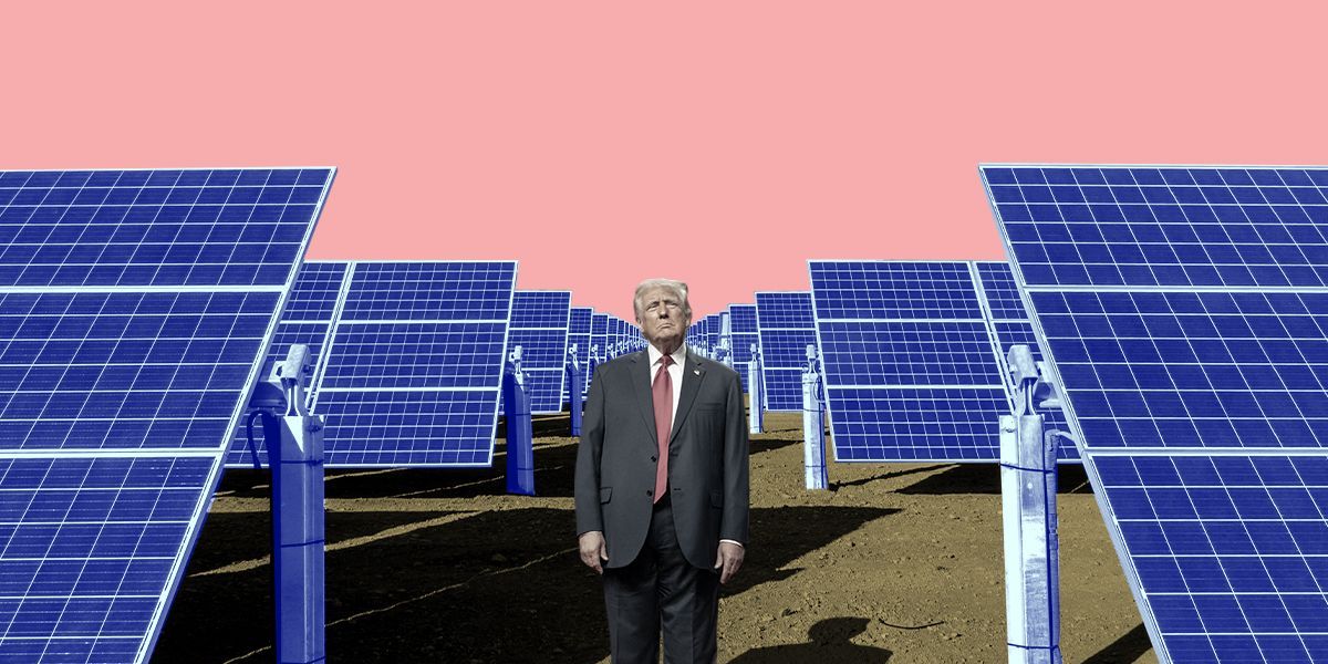 Trump Complains Solar Takes Up ‘400, 500 Acres of Desert Soil ...