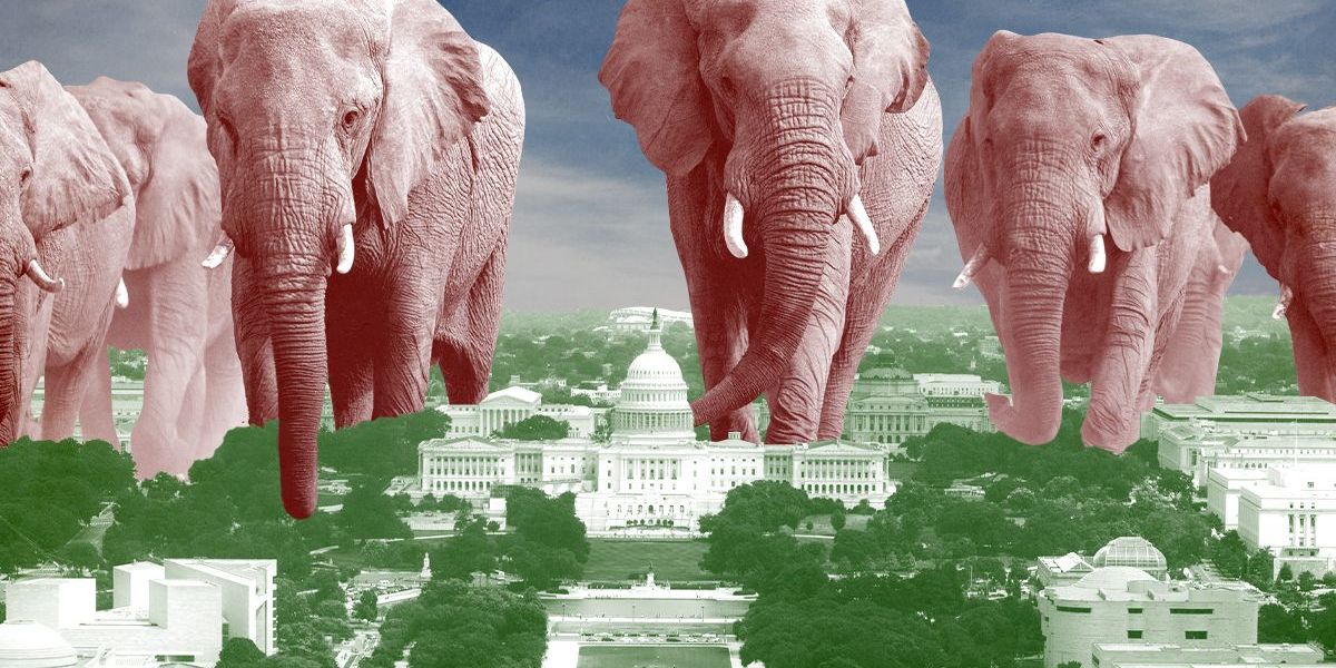 The Senate Energy and Climate Committees Poised for Big Shake-Ups ...