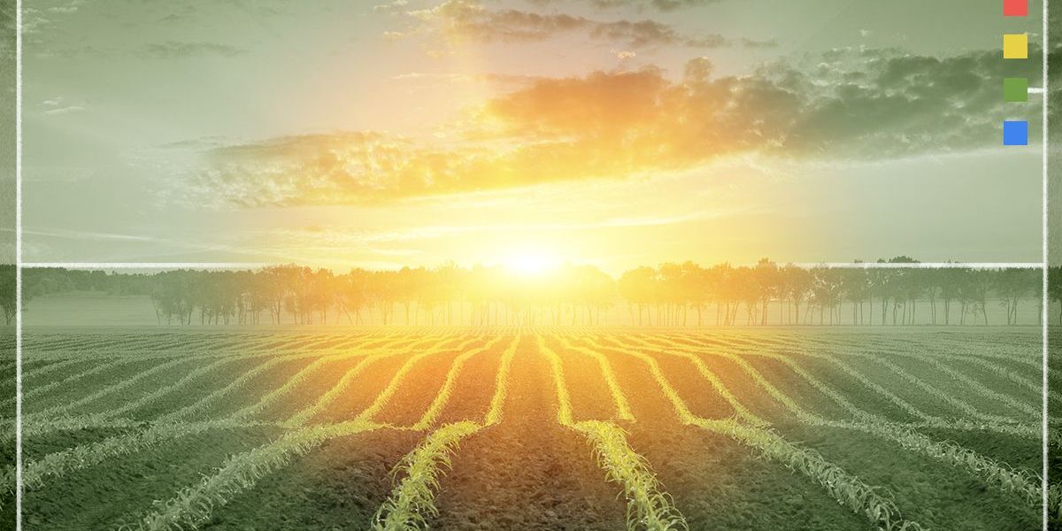 Will 2025 Be Another Year of Extreme Heat? - Heatmap News