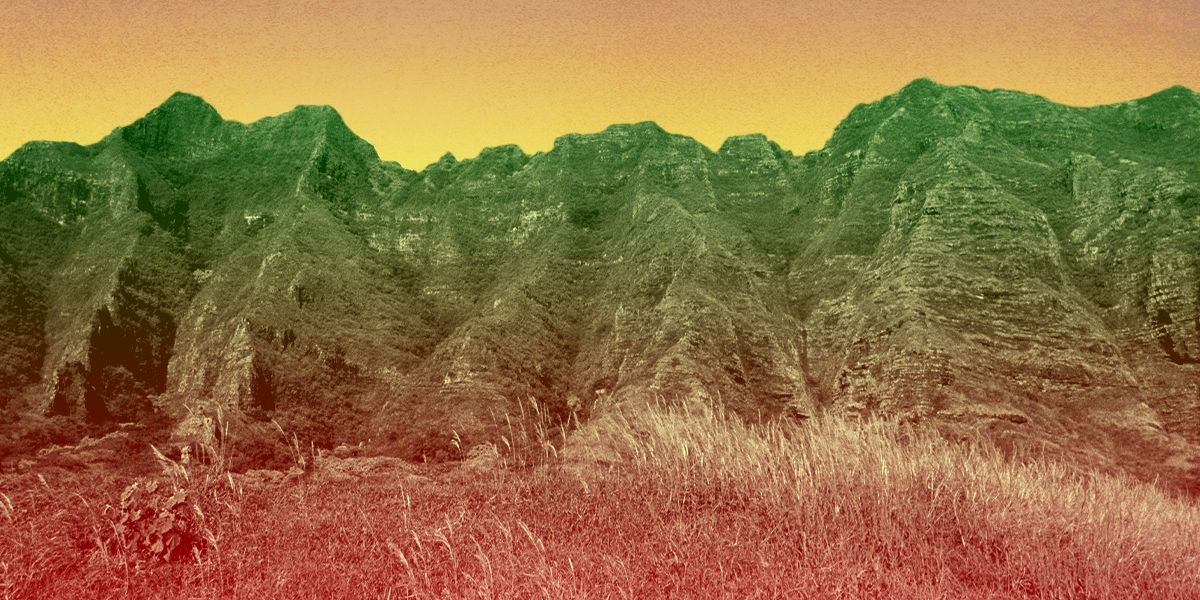 How Invasive Plants Fueled an Inferno in Maui - Heatmap News